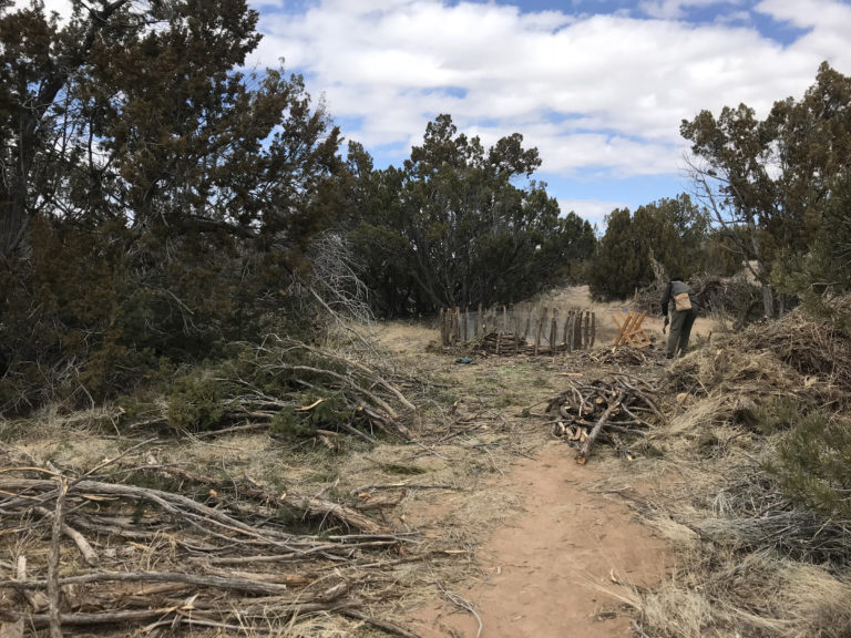 What to do with the Stick Pile – The Daily Snake