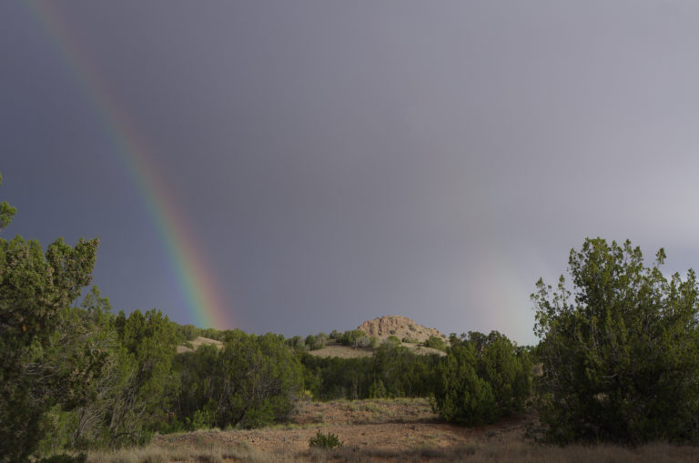 Lone Butte – The Daily Snake